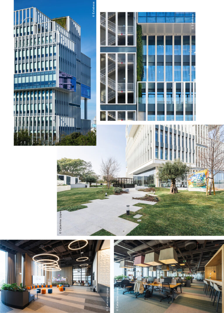 Maintenance of green spaces – Ageas Headquarters Building - Horto do ...
